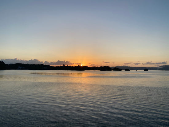 B.J.K.ブジコ オンラインショップ – B．J．K．ブジコ オンラインショップ